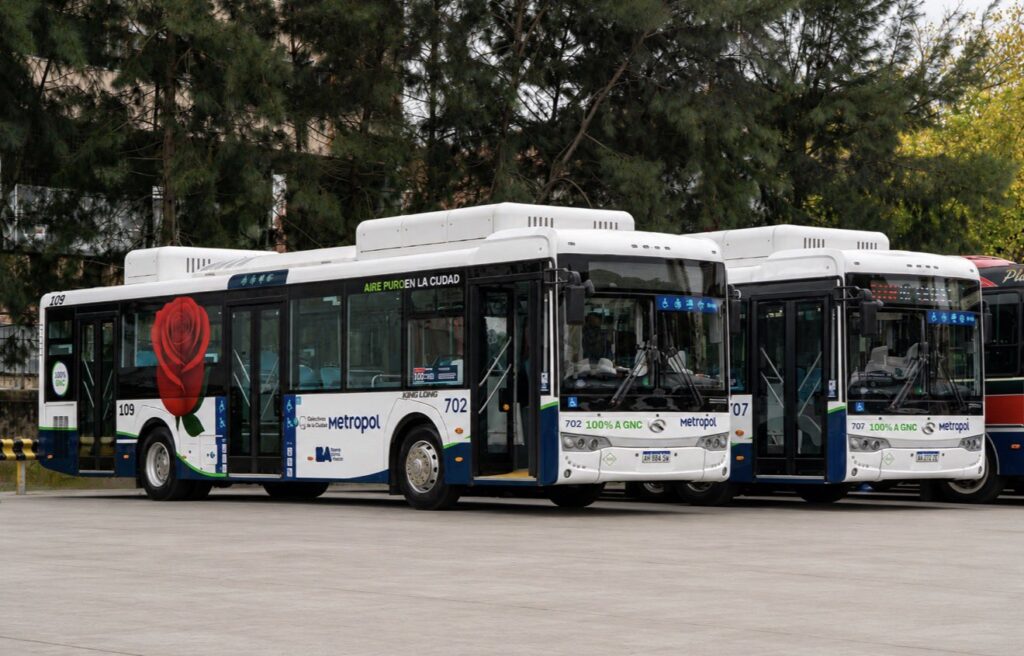 Llegaron los primeros 10 colectivos a GNC de la línea 109 y avanza la ...